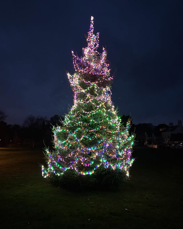 About RCVF - Rowlands Castle Village Fair